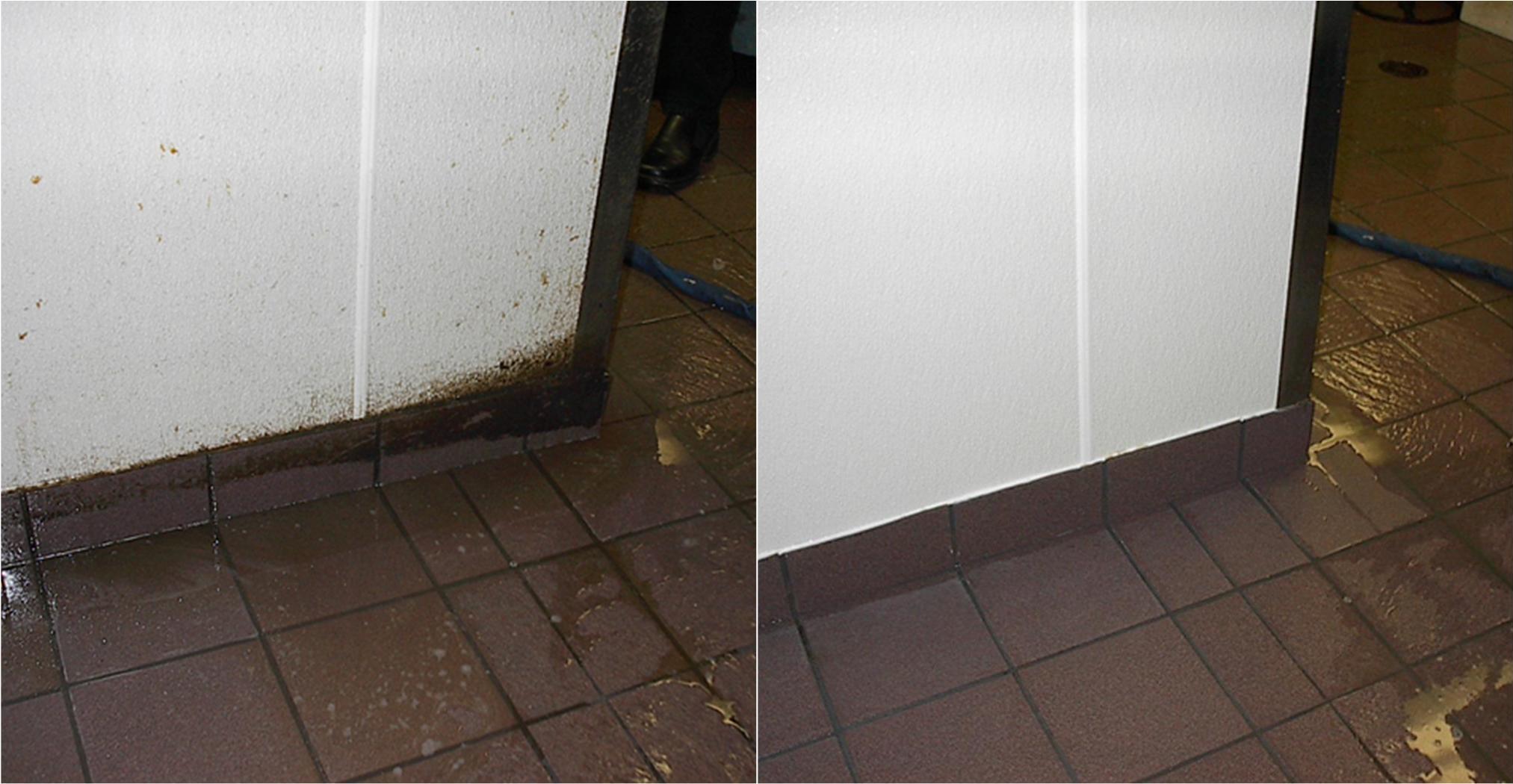 Services – ENV CLEANING